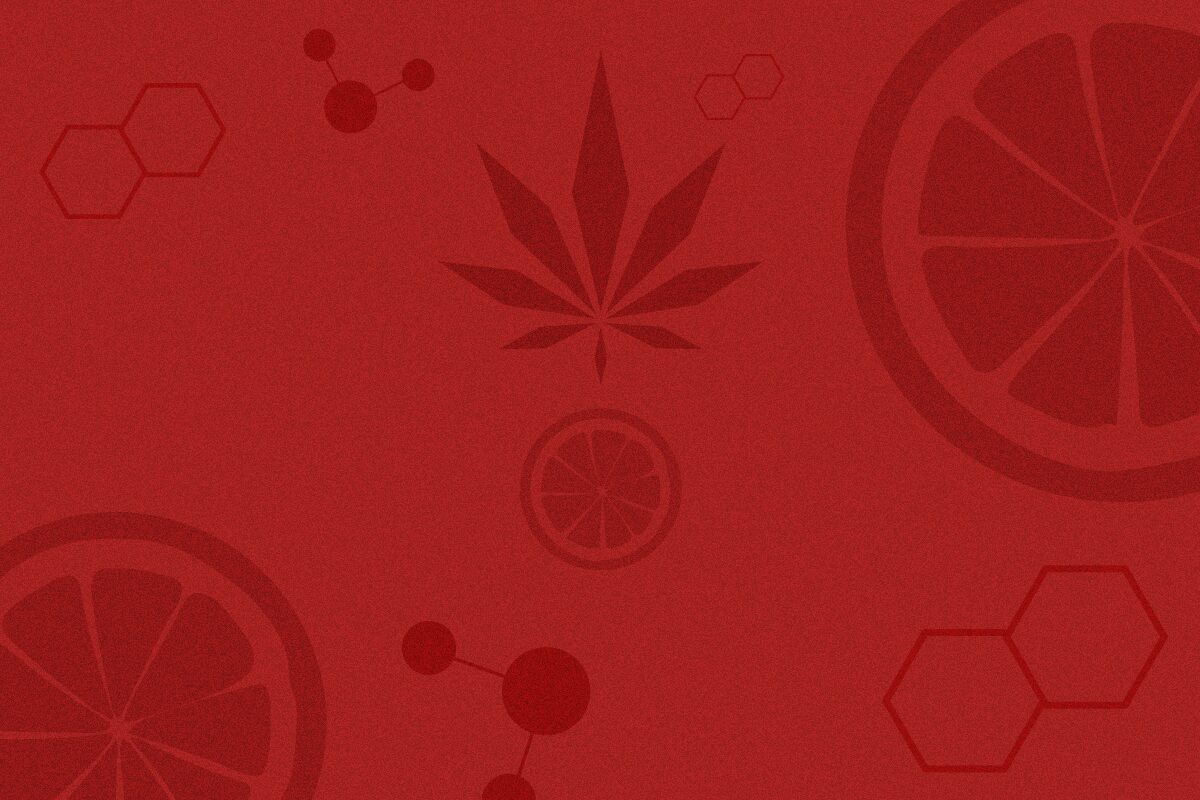 What is Limonene Terpene? Uses, Effects, and Benefits - MedMen Bangkok